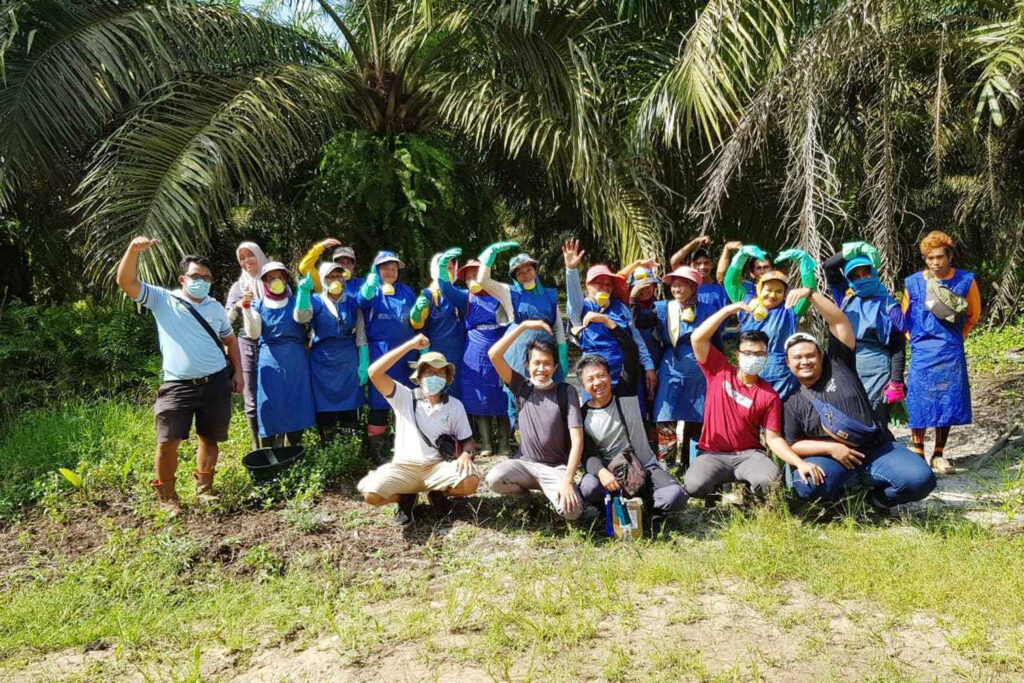 Arvis E-Plantation Implemented | Arvis