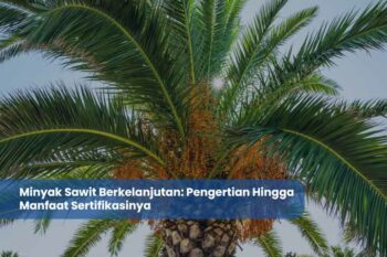 Minyak Sawit Berkelanjutan: Pengertian Hingga Manfaat Sertifikasinya