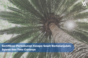 Sertifikasi Perkebunan Kelapa Sawit Berkelanjutan: Syarat dan Tata Caranya | Arvis