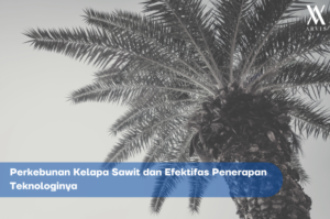 Perkebunan Kelapa Sawit dan Efektifas Penerapan Teknologinya | Arvis