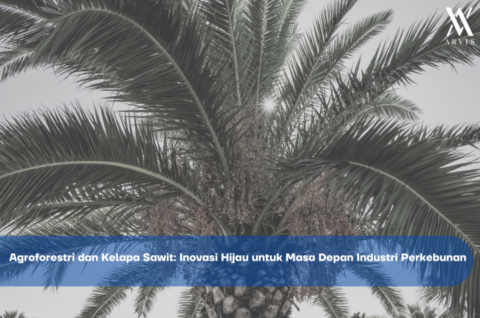 Pembukaan Lahan Kelapa Sawit, Apa Saja yang Perlu Disiapkan? | Arvis